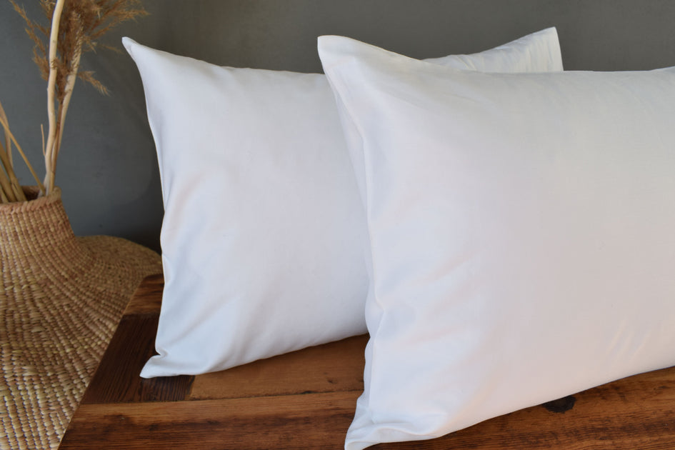 Pillow Casing Standard 300 TC – Sanders South Africa